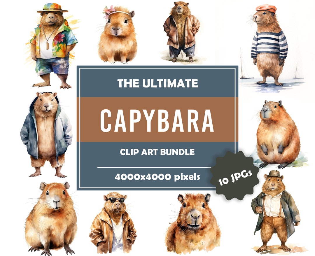 Capybara Watercolor Clipart Bundle, Commercial Use, 10 Capybara Clipart ...