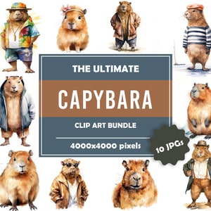 Capybara Watercolor Clipart Bundle, Commercial Use, 10 Capybara Clipart ...