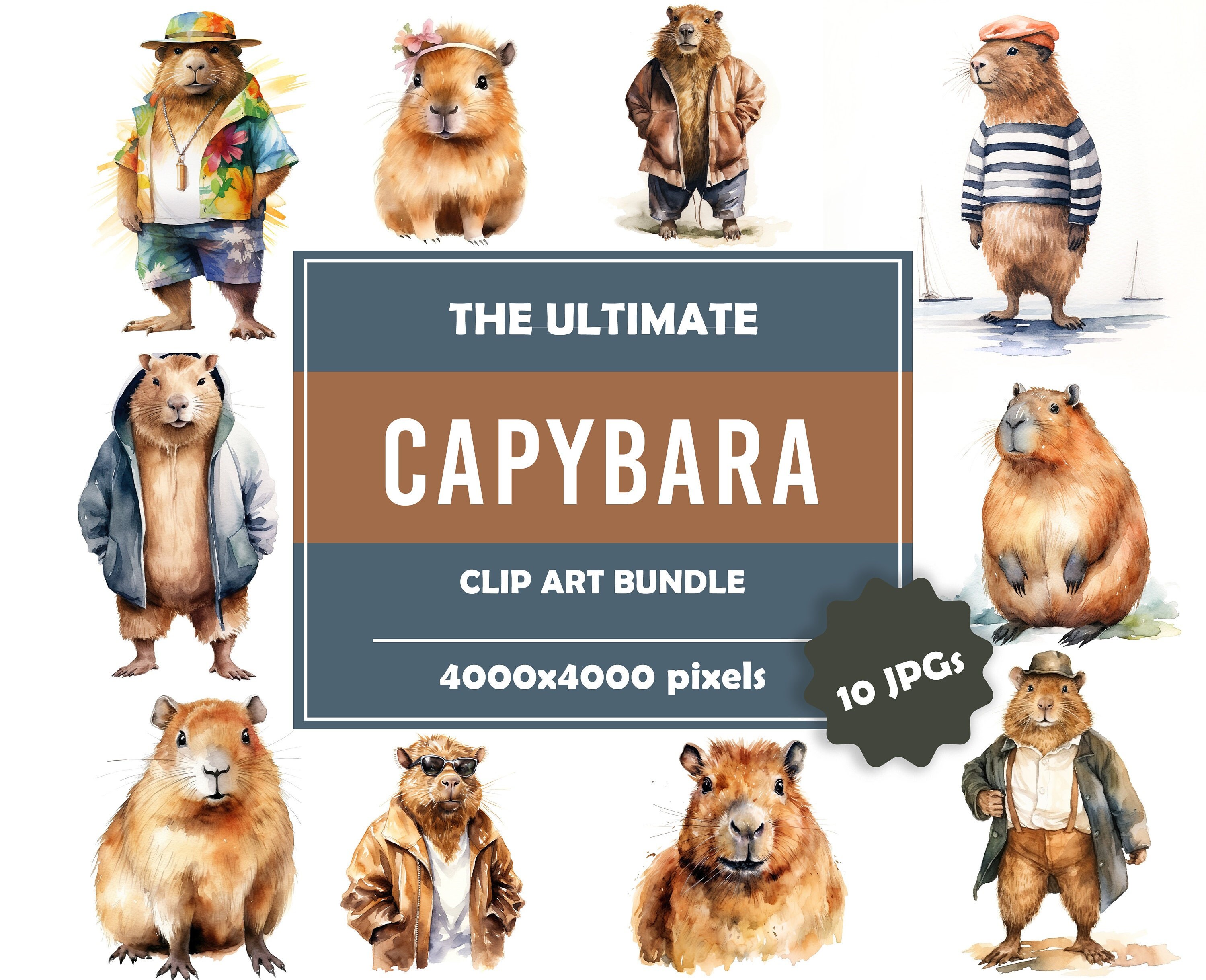 Capybara Watercolor Clipart Bundle, Commercial Use, 10 Capybara Clipart ...