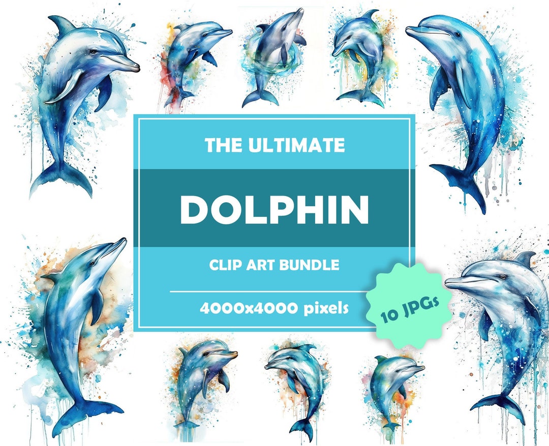 Dolphin Watercolor Clip Art Bundle, 10 Watercolor Clip Art Files ...