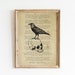 The Raven Poem Poster, the Raven Poster, Edgar Allan Poe Poster, the ...