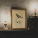 The Raven Poem Poster, the Raven Poster, Edgar Allan Poe Poster, the ...