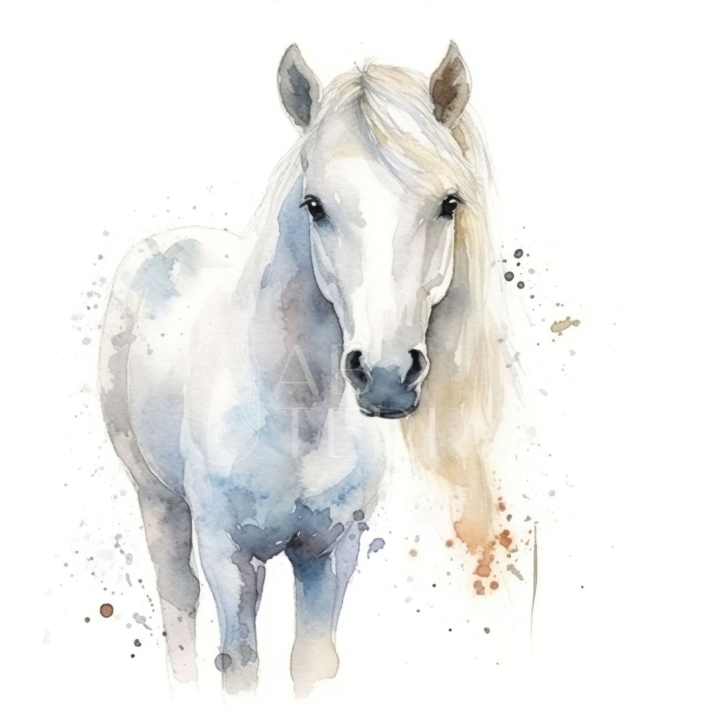 10 White Horse Watercolor Clipart Bundle, White Horse Clipart, Horse ...