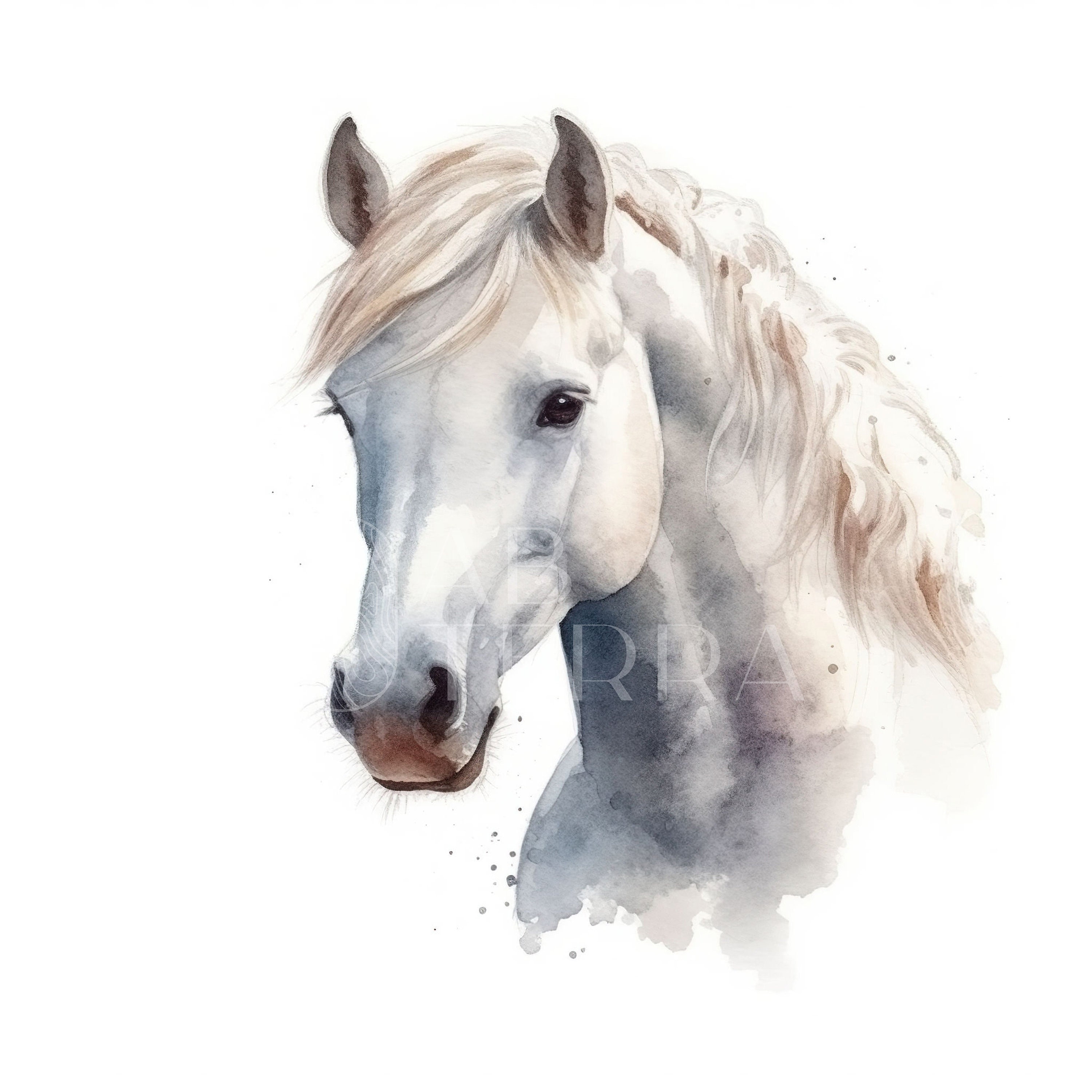 10 White Horse Watercolor Clipart Bundle, White Horse Clipart, Horse ...