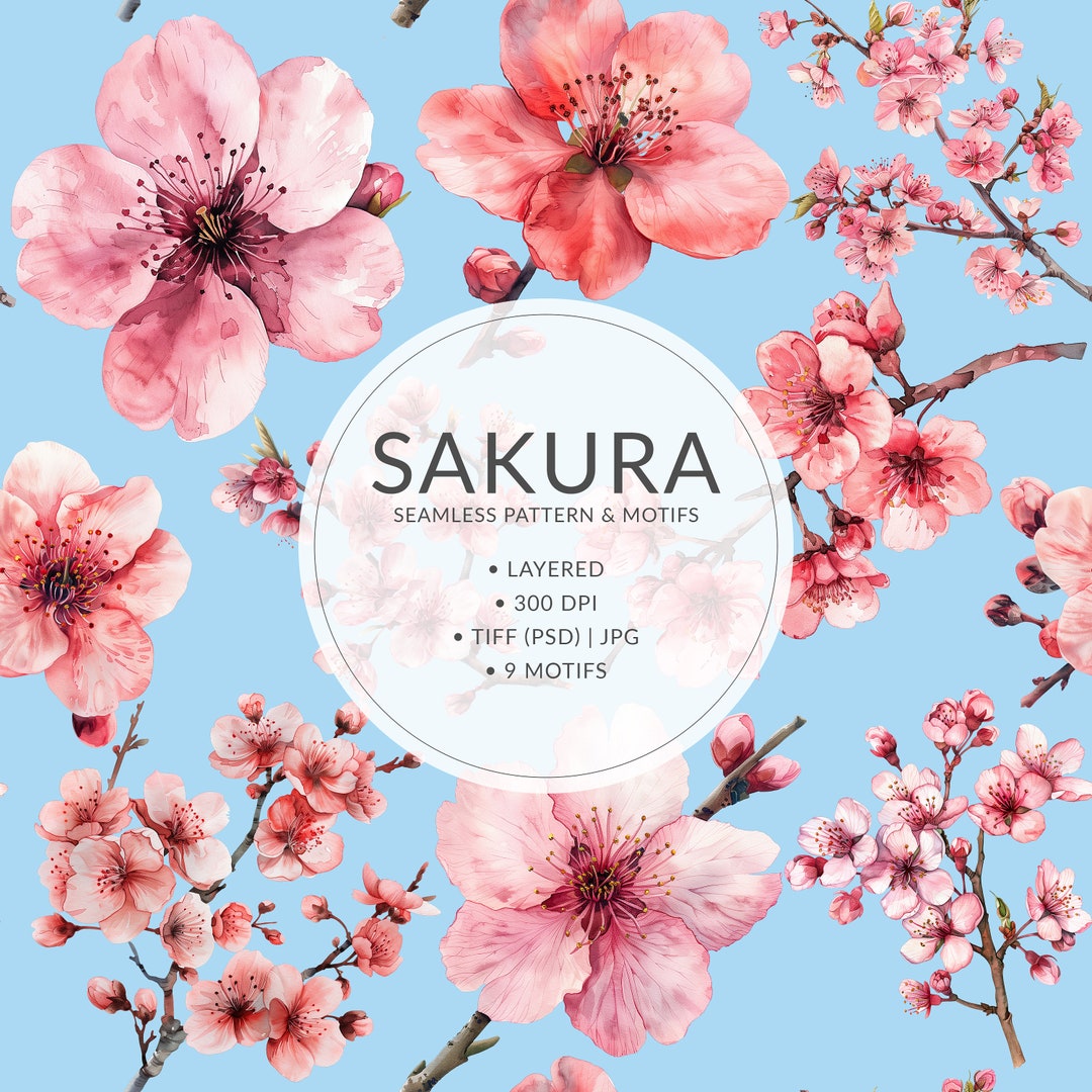 Sakura Seamless Pattern and Motifs, Cherry Blossom Pattern, Spring ...