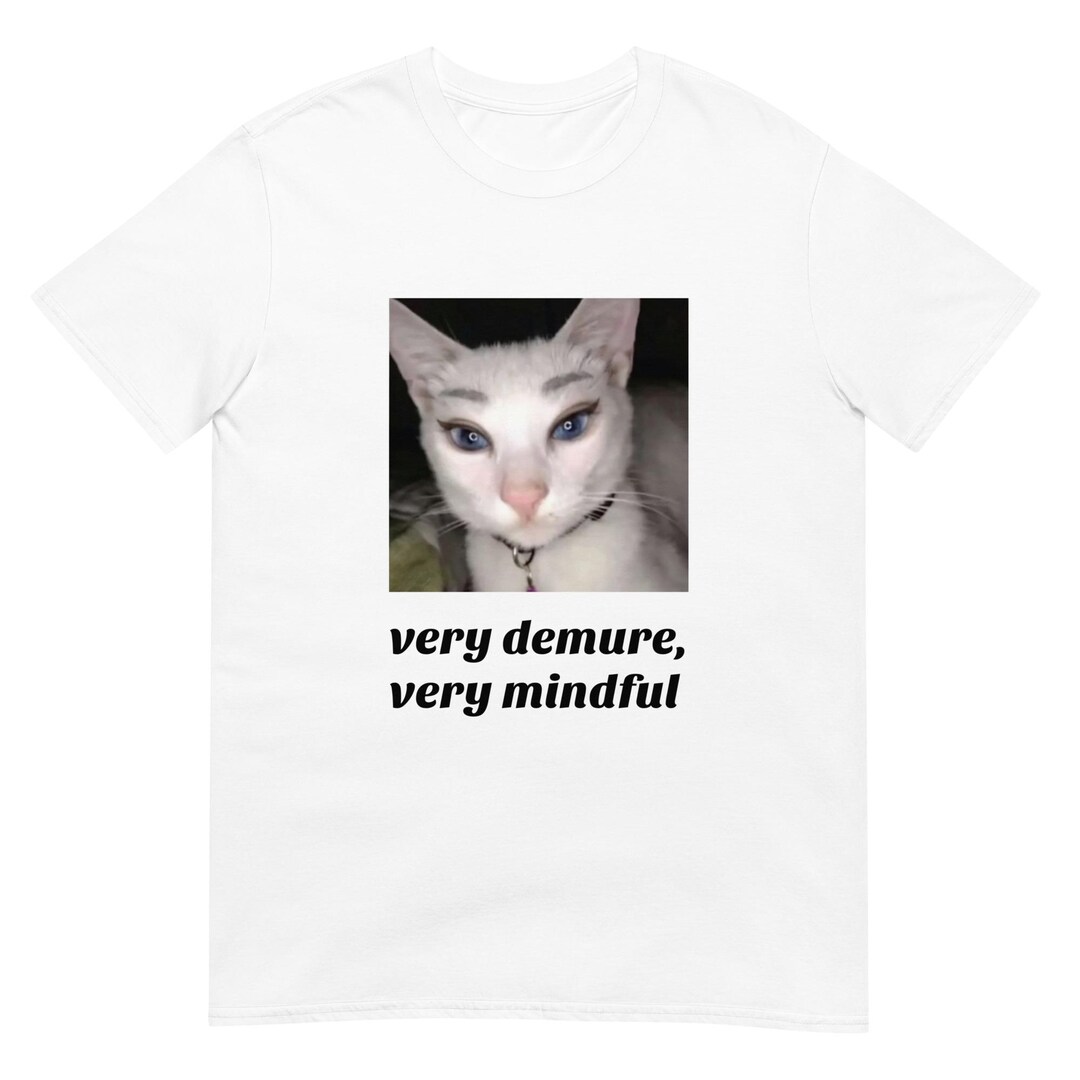 Very Demure, Very Mindful Meme T-shirt Funny T-shirts, Meme Shirts ...