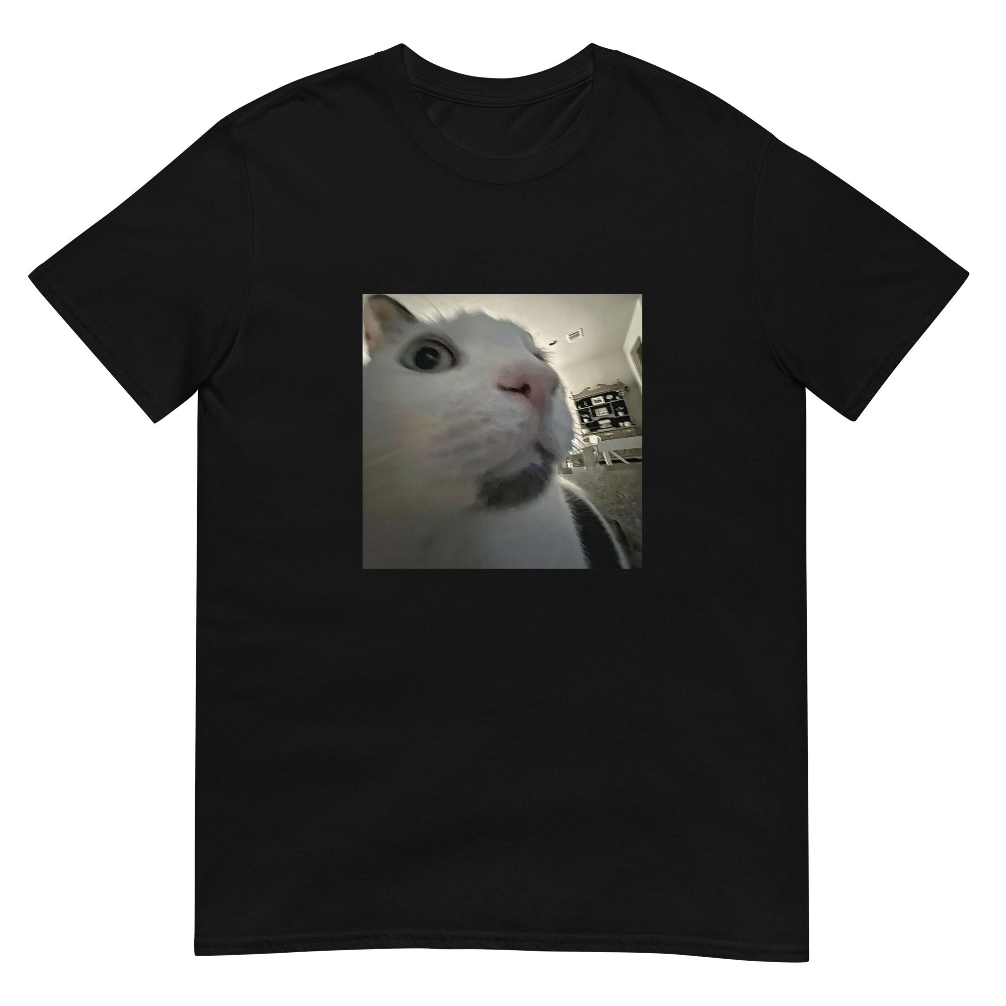 Side-eye Cat Meme T-shirt, Short-sleeve Unisex, Silly Shirts, Funny ...