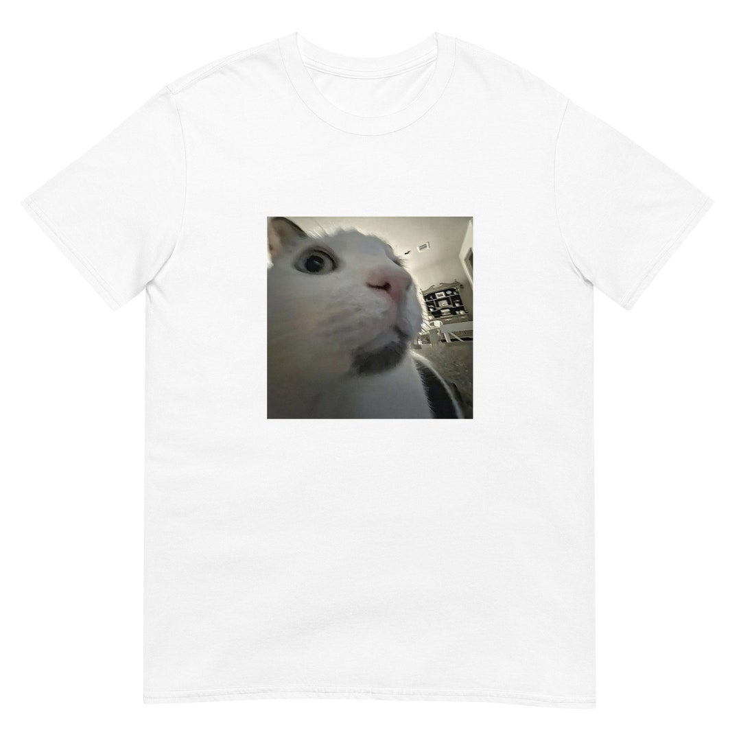 Side-eye Cat Meme T-shirt, Short-sleeve Unisex, Silly Shirts, Funny ...