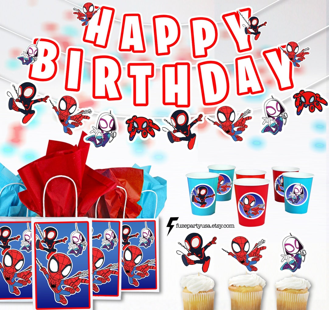 Spidey Birthday Party Supplies Spidey and Friends Event Decoration ...
