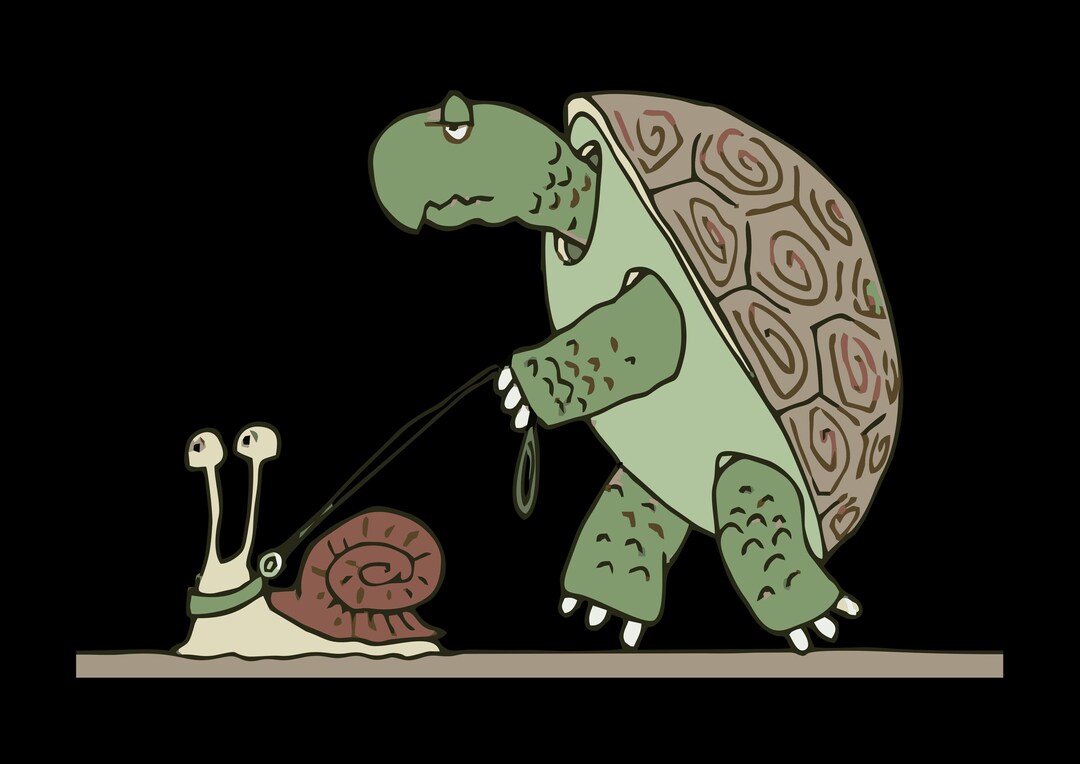 Bundle of Turtle and Snail PNG Image + Vector Source File - Etsy