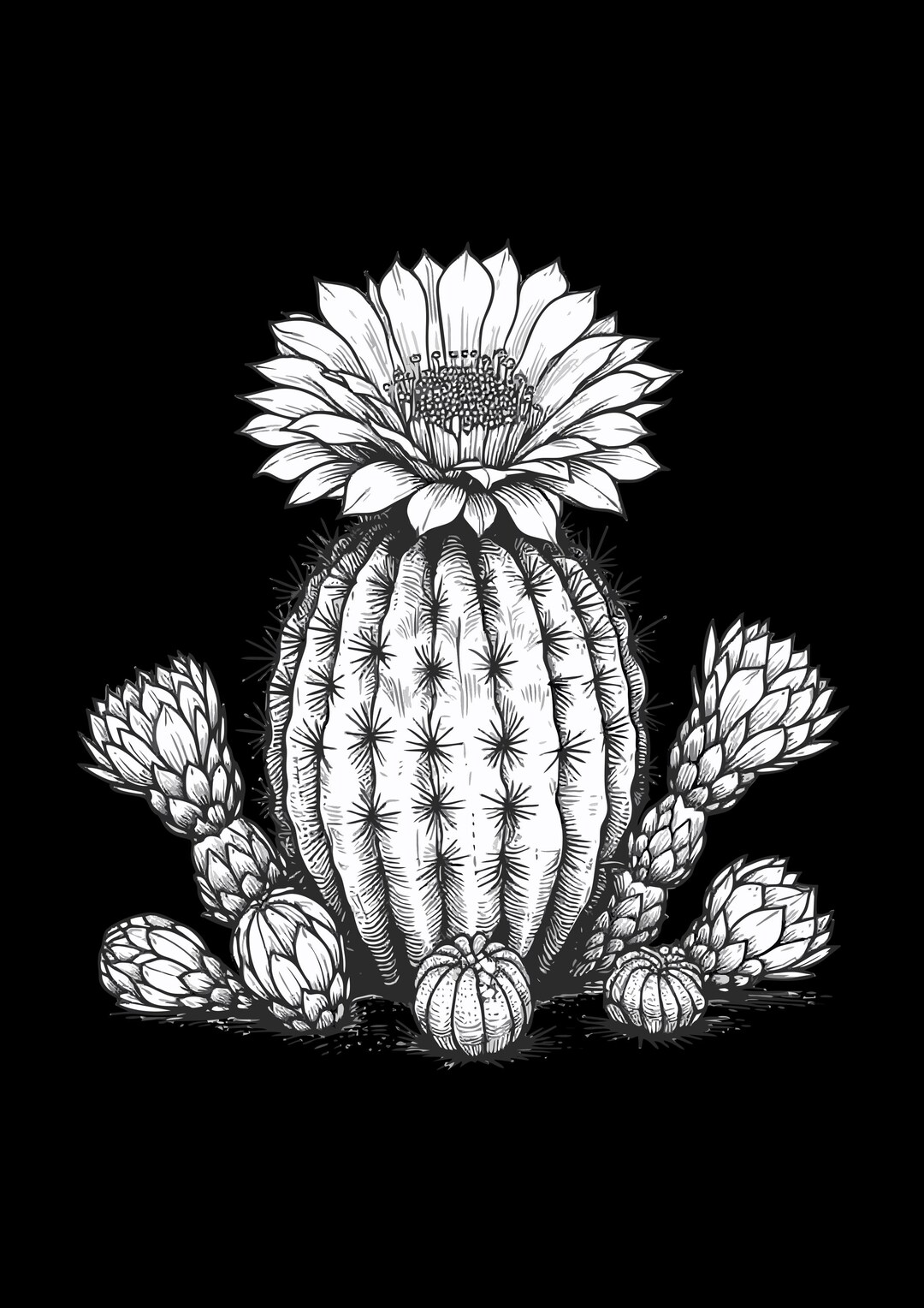 Bundle of Peyote Cactus PNG Image + Vector Source File - Etsy