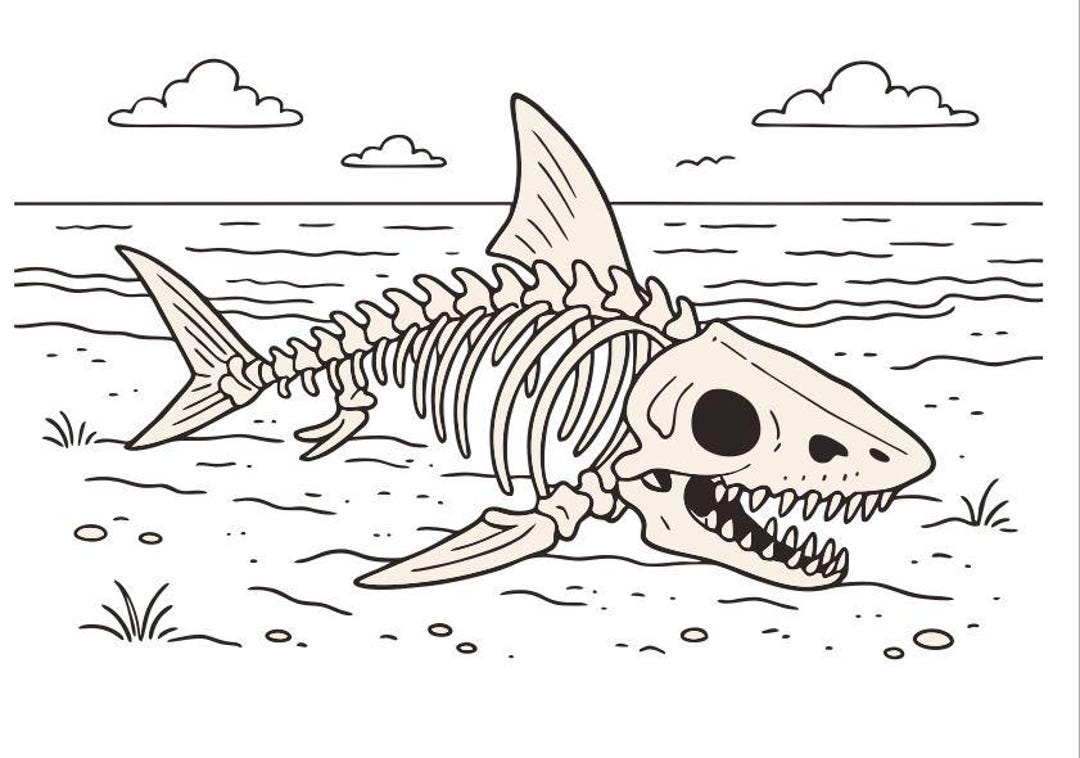 Bundle of Whale Skeleton PNG Image + Vector Source File - Etsy