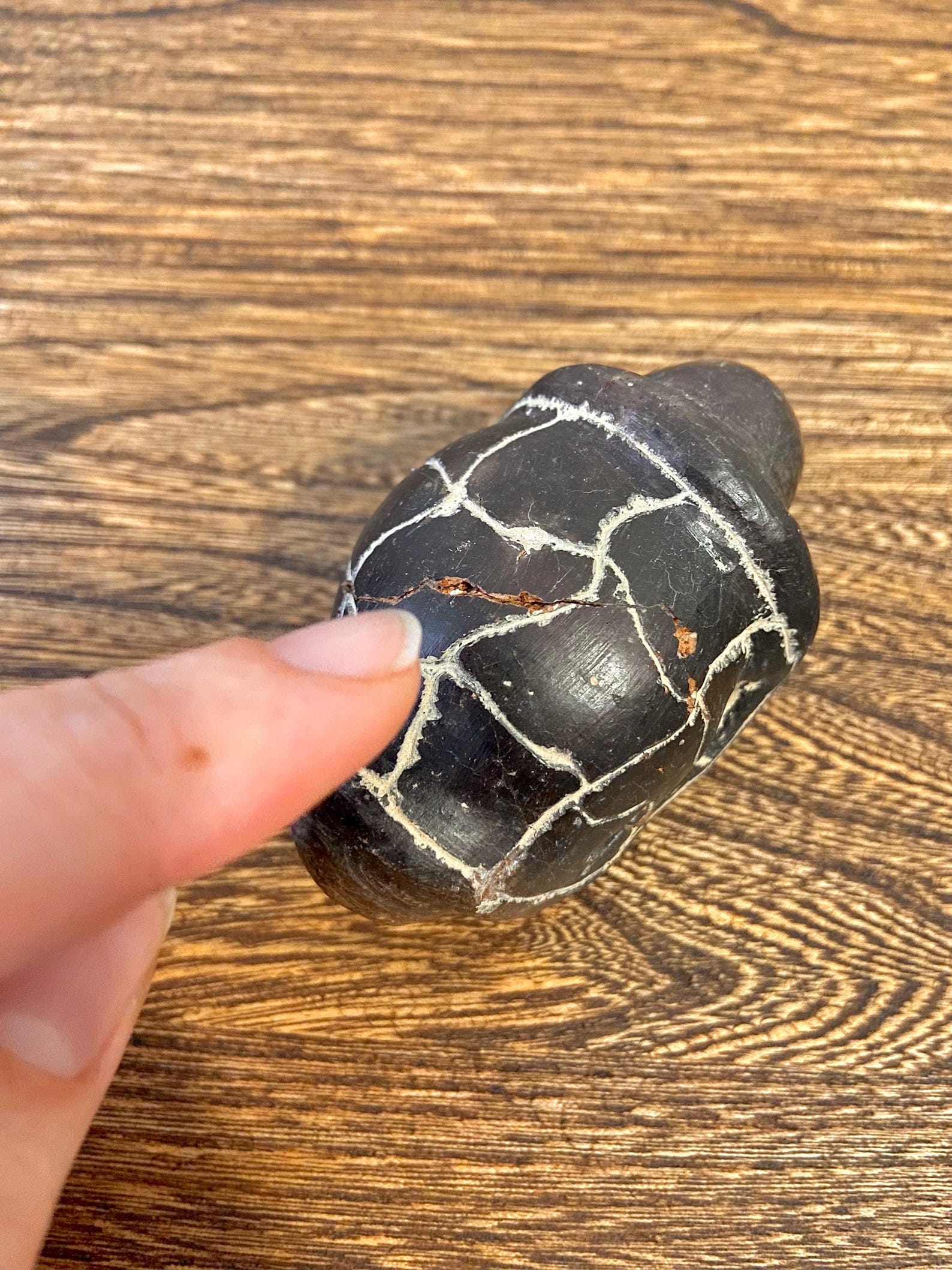 Vintage Turtle Ocarina Flute, Handcrafted Clay Wind Instrument, Tribal ...