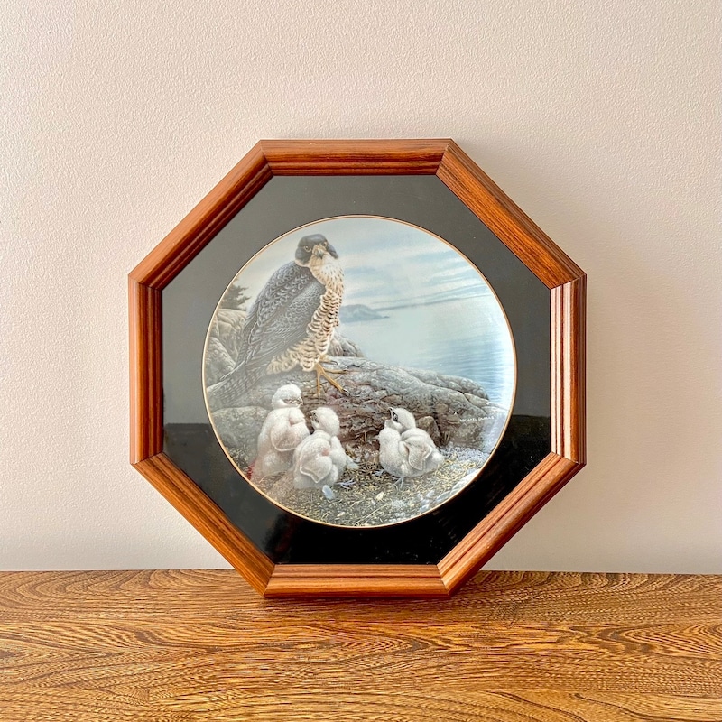 Collectors Plate - Etsy