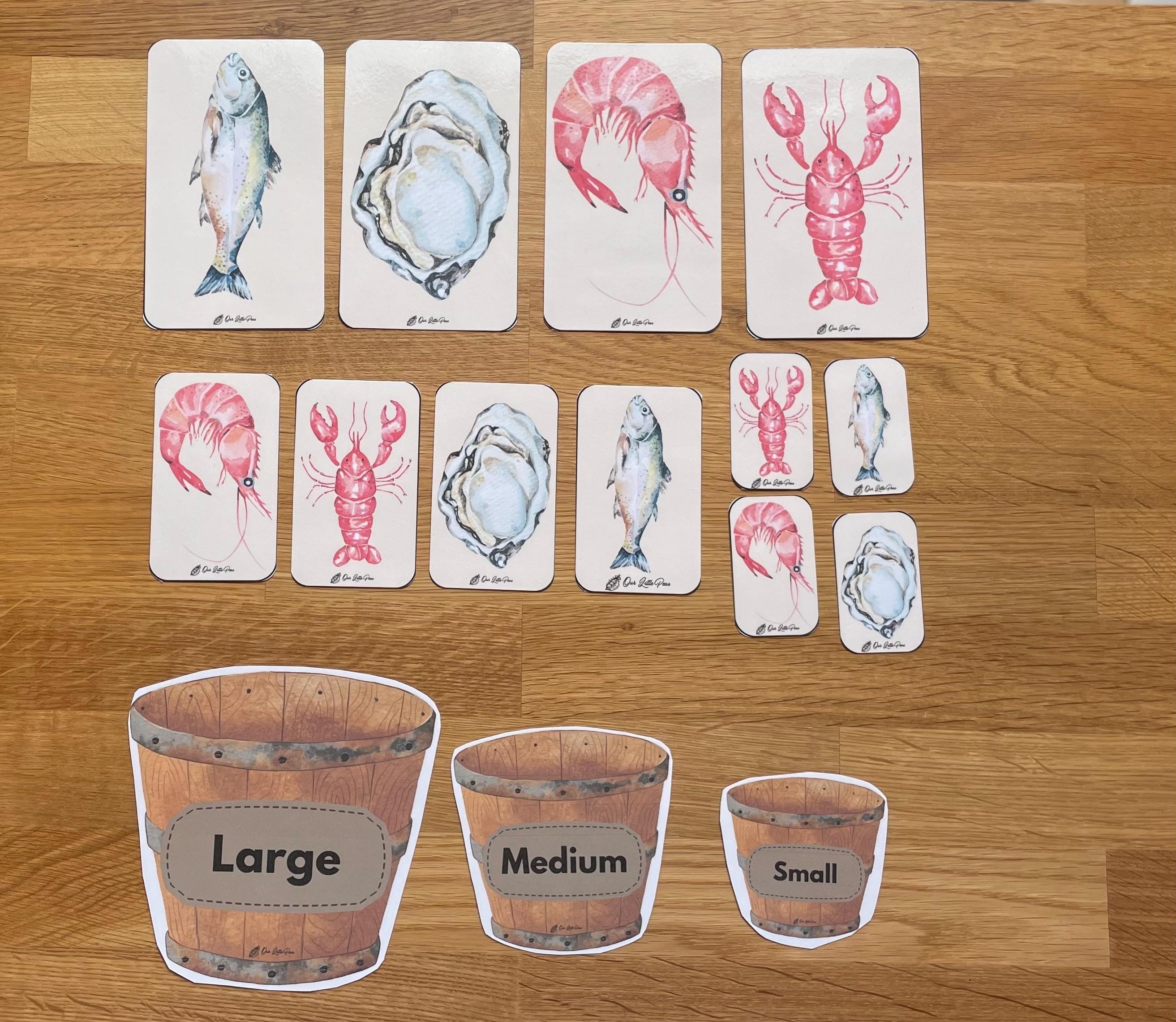 Ocean Sorting by Size Large Medium & Small, Preschool Math, Preschool ...