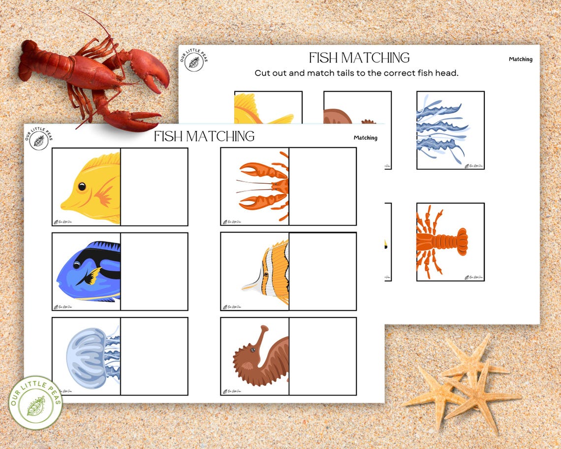 Ocean Fish Matching, Two-piece Puzzles, Toddler Activities, Activities ...