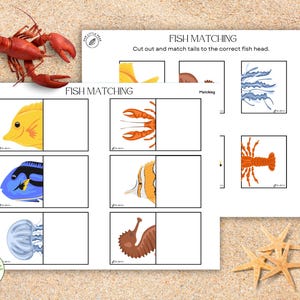Ocean Fish Matching, Two-piece Puzzles, Toddler Activities, Activities ...