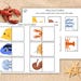 Ocean Fish Matching, Two-piece Puzzles, Toddler Activities, Activities ...
