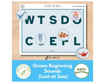 Ocean Beginning Sounds, Letter Recognition, Sensory Table, Preschool ...