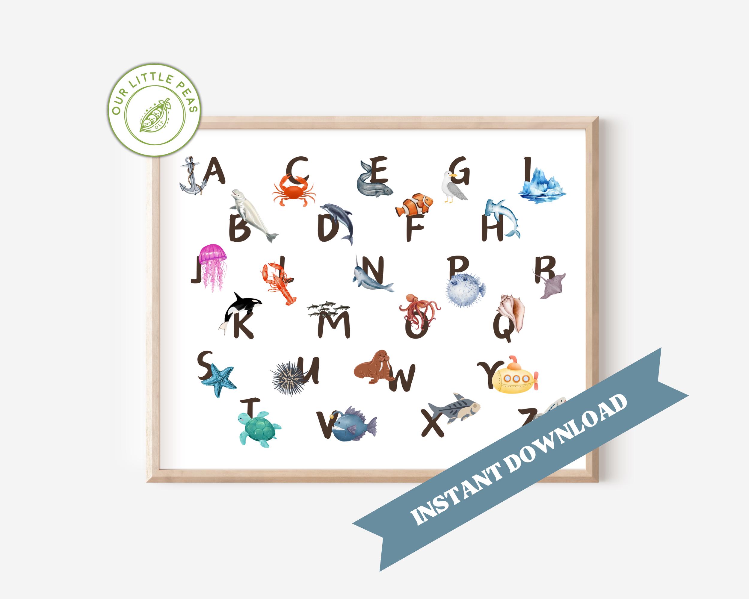 Ocean Alphabet Poster, Ocean Animals, Homeschool, Digital Print, School ...