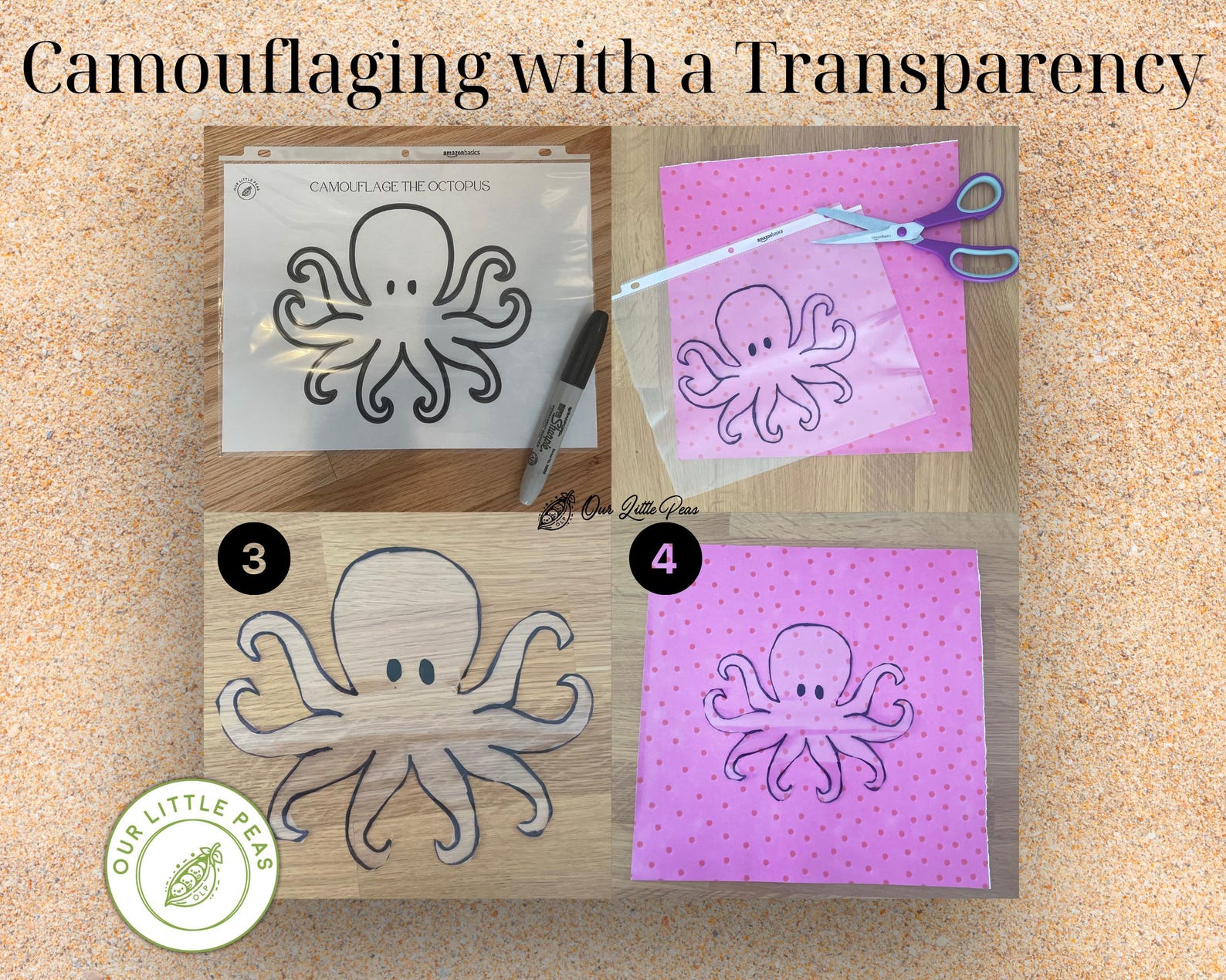 Ocean Octopus Camouflage, Animal Adaptation, Preschool Activity ...