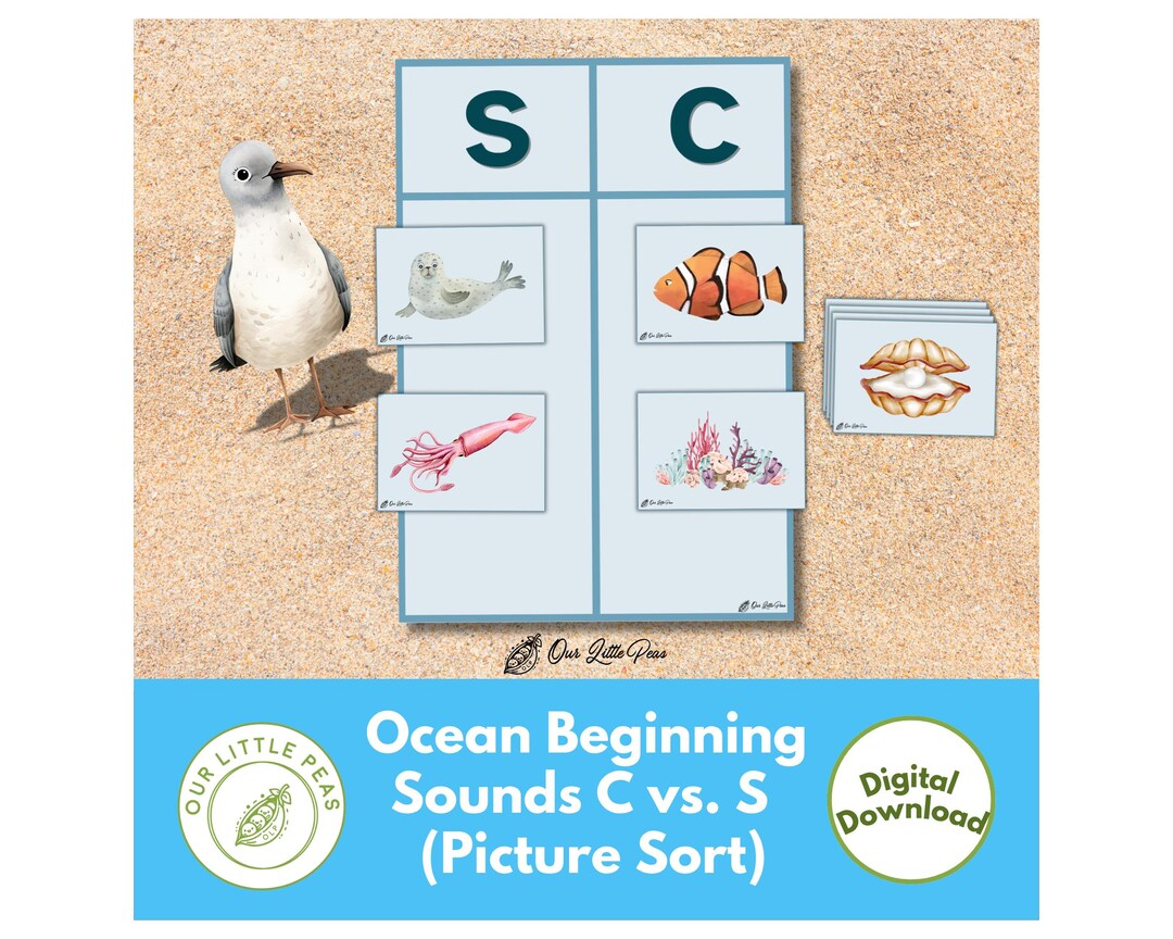 Ocean Beginning Sounds, Letter Recognition, Sensory Table, Preschool ...