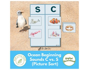 Ocean Beginning Sounds, Letter Recognition, Sensory Table, Preschool ...