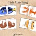 Ocean Fish Matching, Two-piece Puzzles, Toddler Activities, Activities ...