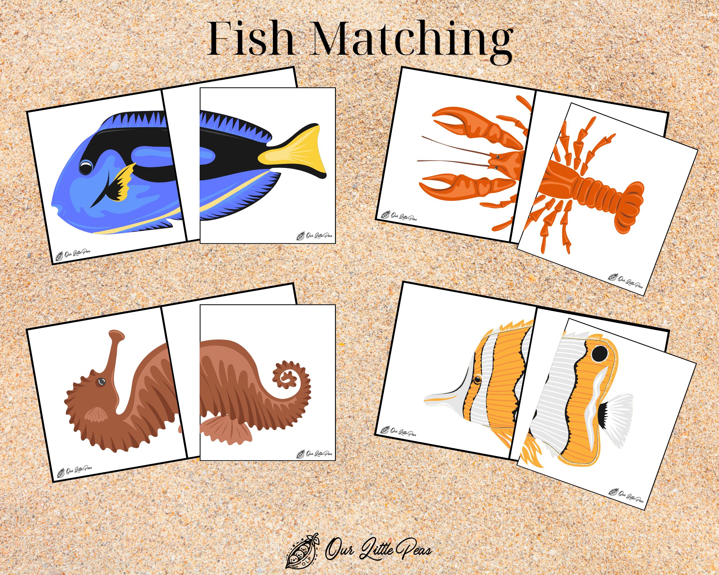 Ocean Fish Matching, Two-piece Puzzles, Toddler Activities, Activities ...