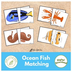 Ocean Fish Matching, Two-piece Puzzles, Toddler Activities, Activities ...