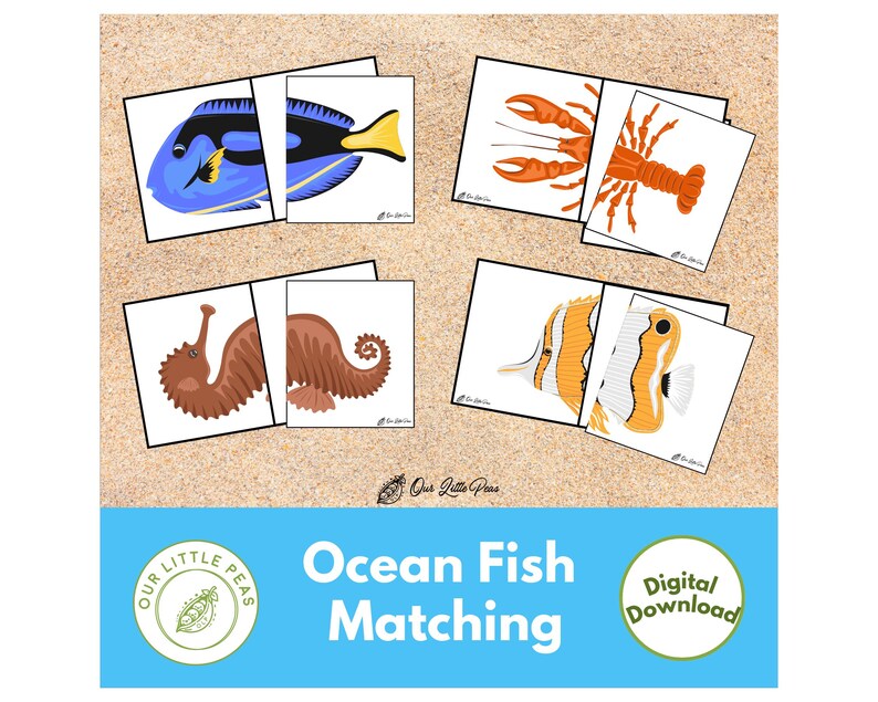 Ocean Fish Matching, Two-piece Puzzles, Toddler Activities, Activities ...