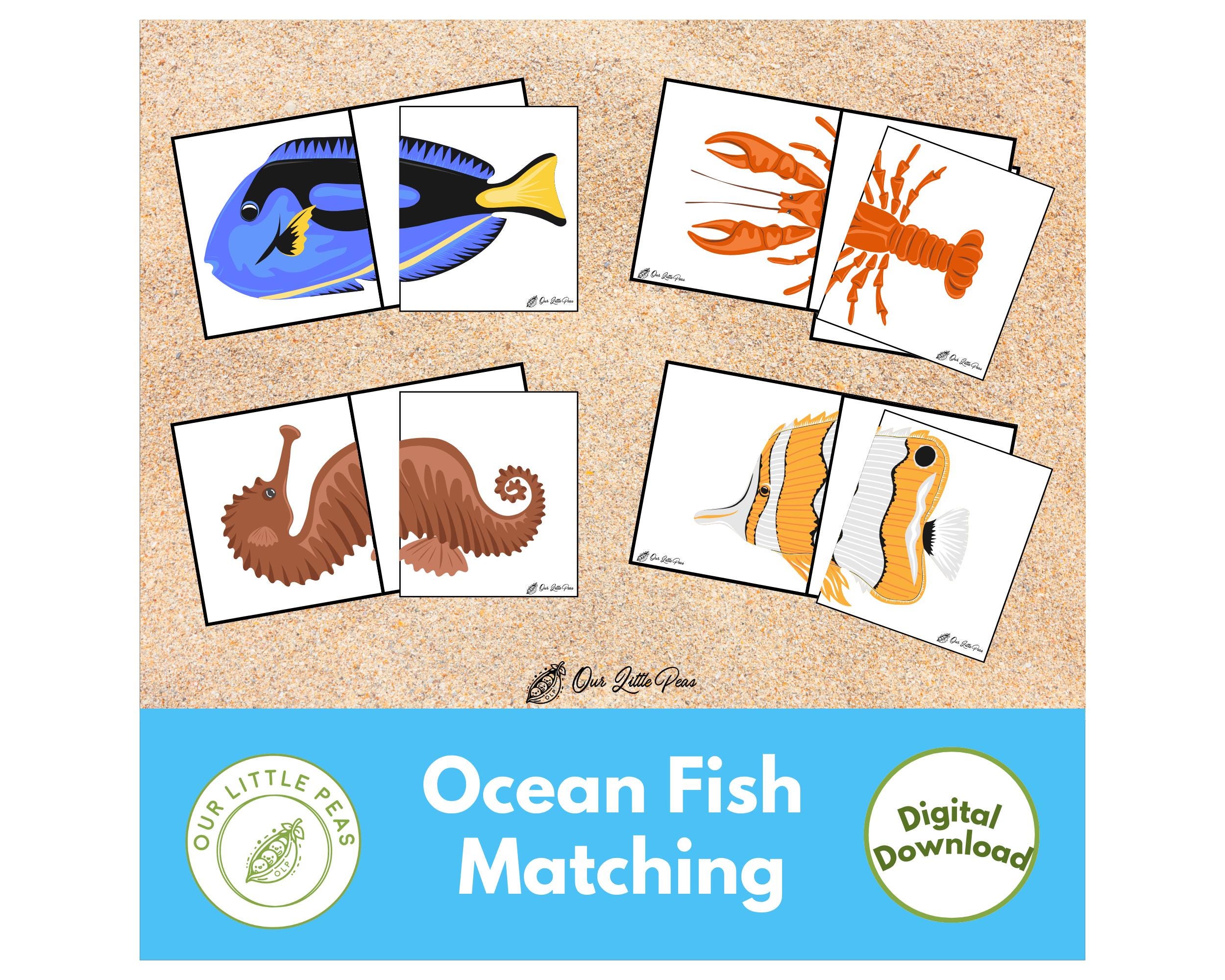 Ocean Fish Matching, Two-piece Puzzles, Toddler Activities, Activities ...