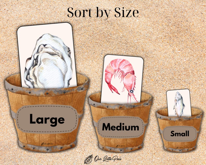 Ocean Sorting by Size Large Medium & Small, Preschool Math, Preschool ...