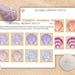 Ocean Seashell Memory Matching, Memory, Toddler Activities, Activities ...