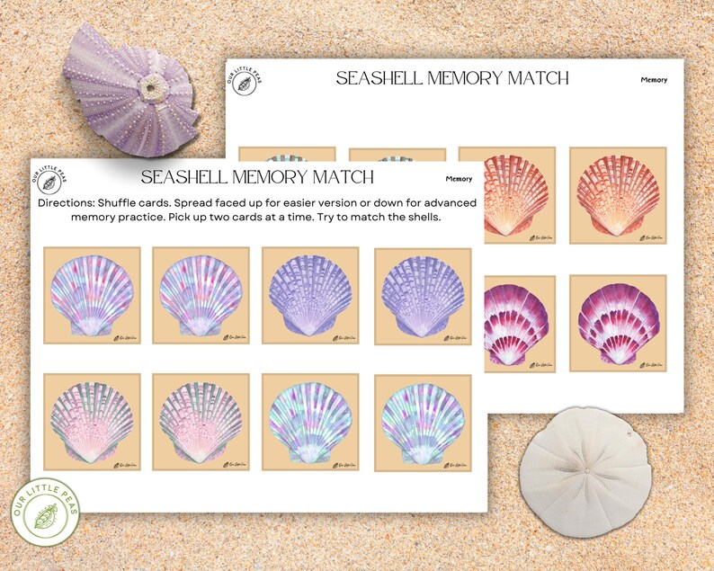 Ocean Seashell Memory Matching, Memory, Toddler Activities, Activities ...