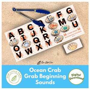 Ocean Beginning Sounds, Literacy, Sensory Table, Homeschool, Preschool ...