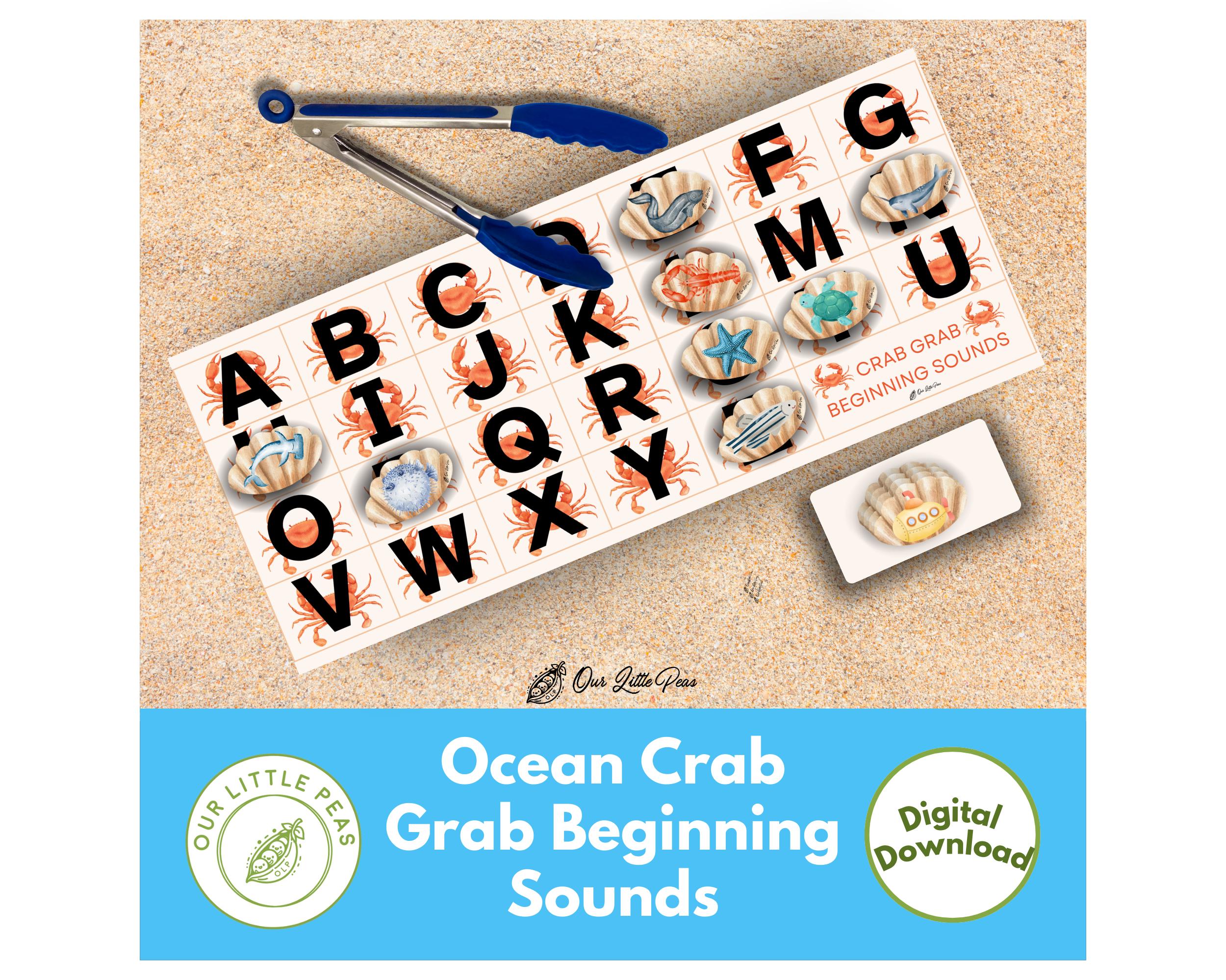 Ocean Beginning Sounds, Literacy, Sensory Table, Homeschool, Preschool ...