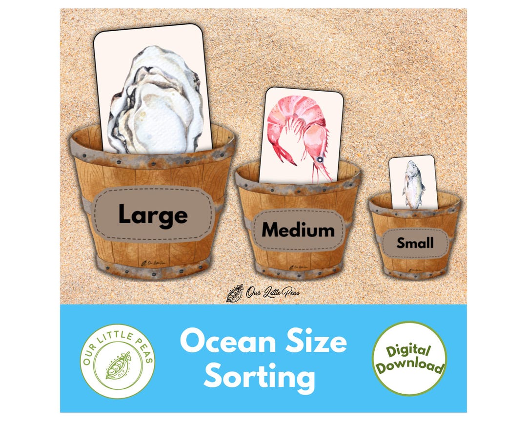 Ocean Sorting by Size Large Medium & Small, Preschool Math, Preschool ...