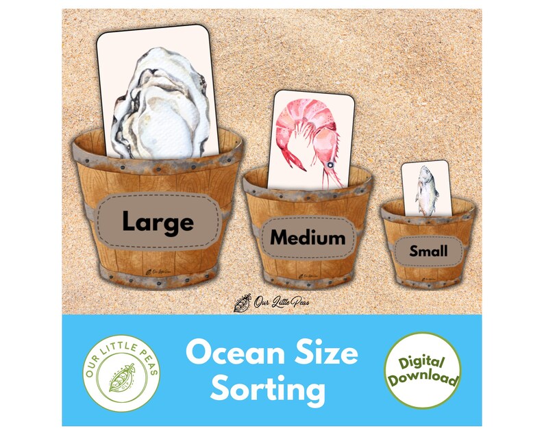 Ocean Sorting by Size Large Medium & Small, Preschool Math, Preschool ...