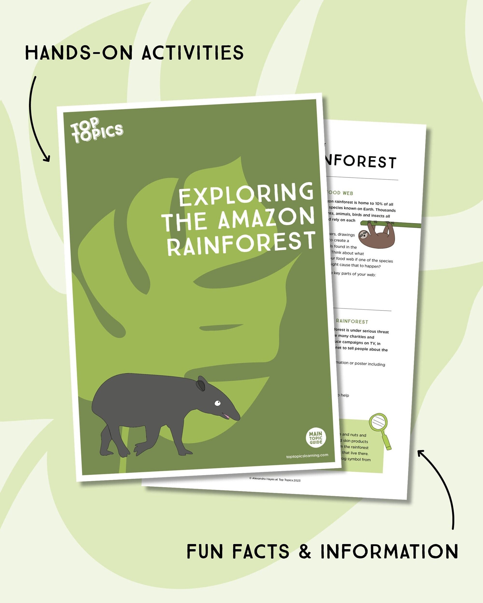 Exploring the Amazon Rainforest Topic Guide - Etsy