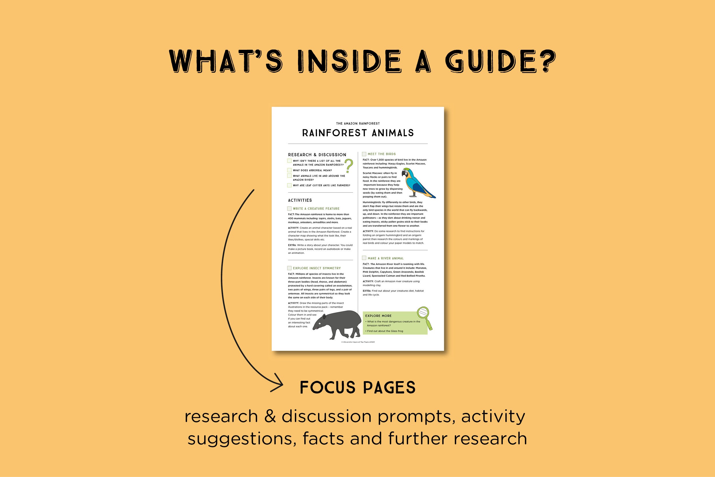Exploring the Amazon Rainforest Topic Guide - Etsy