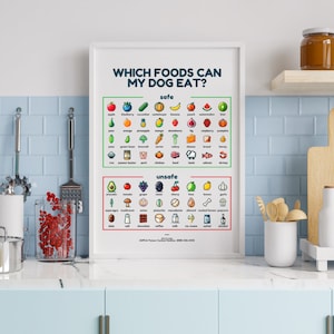Dog Food Safety Chart - What Can Dogs Eat Poster, Safe and Toxic Foods ...