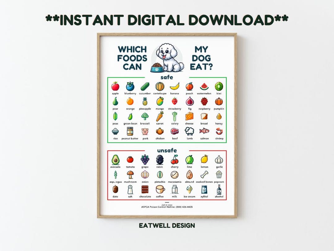 Bichon Frise Food Safety Poster - What Can Bichon Frises Eat, Safe ...