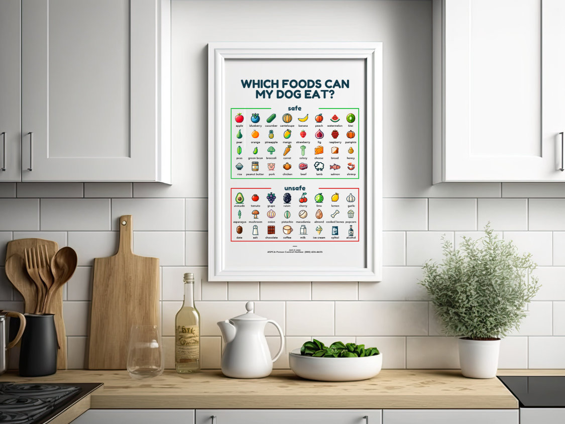 Dog Food Safety Chart - What Can Dogs Eat Poster, Safe and Toxic Foods ...
