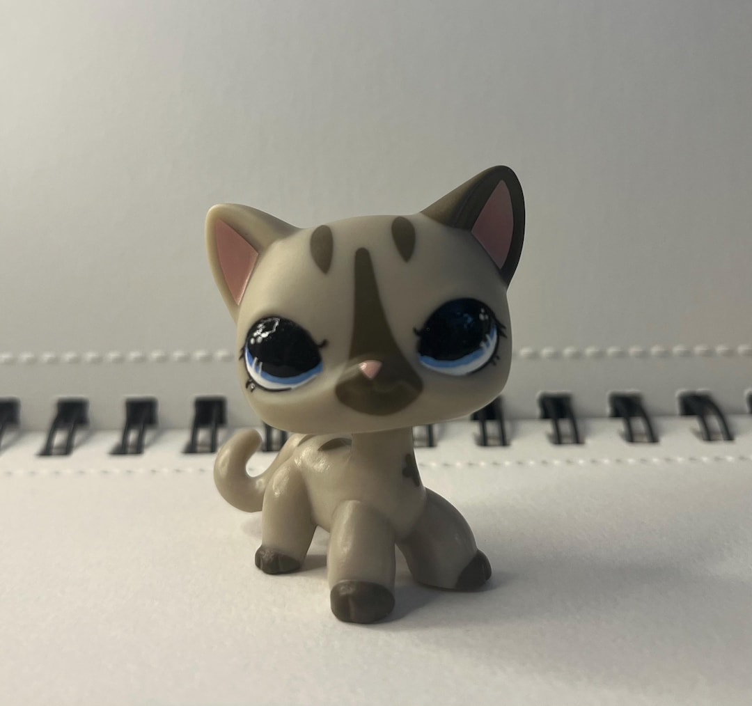 OOAK LPS Eye Repaint - Cat - Etsy