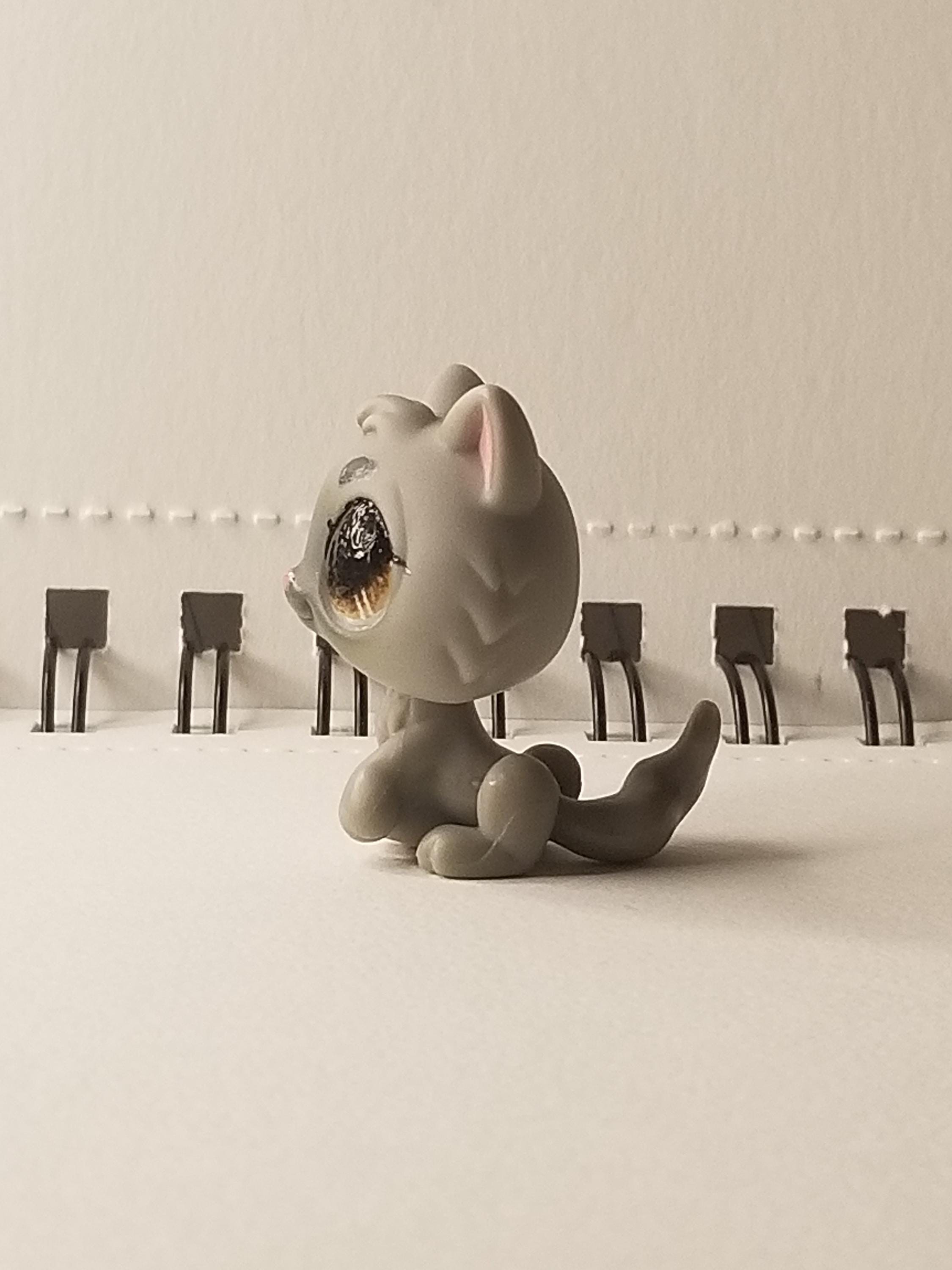 LPS OOAK CUSTOM - Eye Repaint - Kitten - Etsy