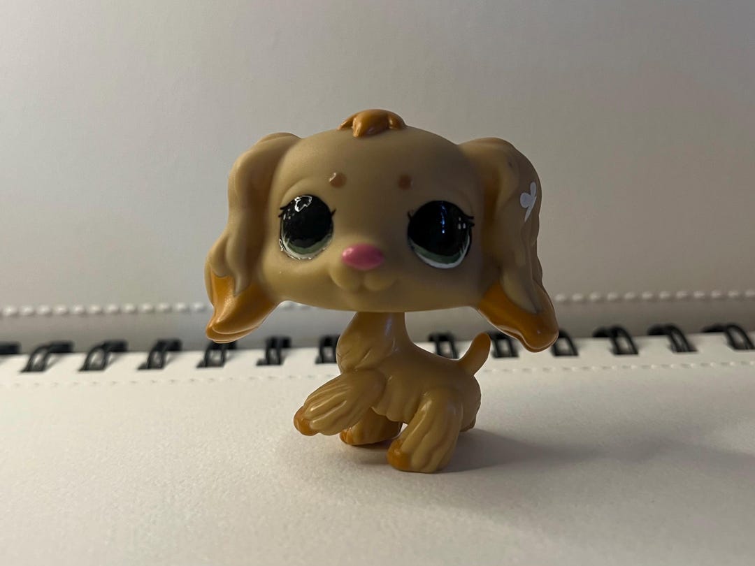 LPS OOAK Eye Repaint - Cocker Spaniel - Etsy