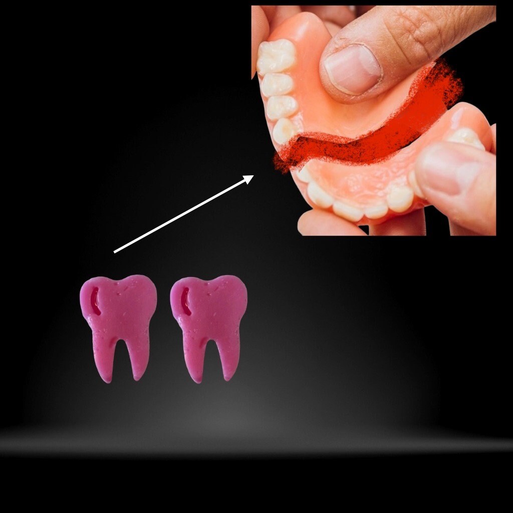 Craft Your Model, Learn Model,dental Fix Kit, DIY Denture Show Model ...