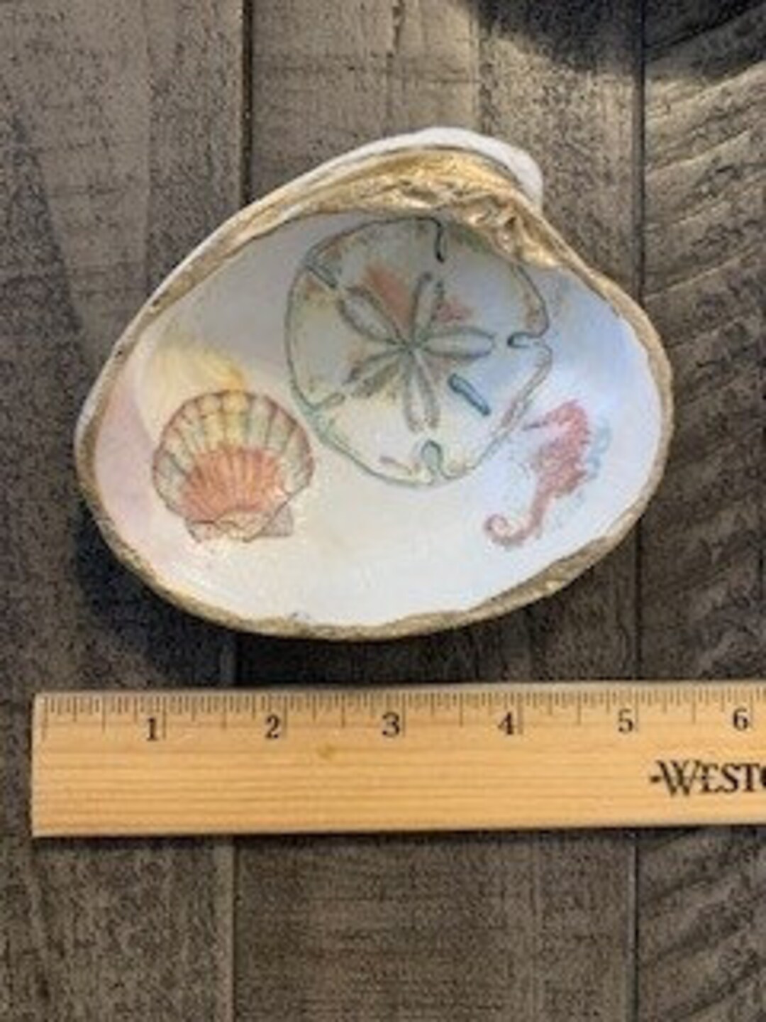 Sea Shell Painted - Etsy