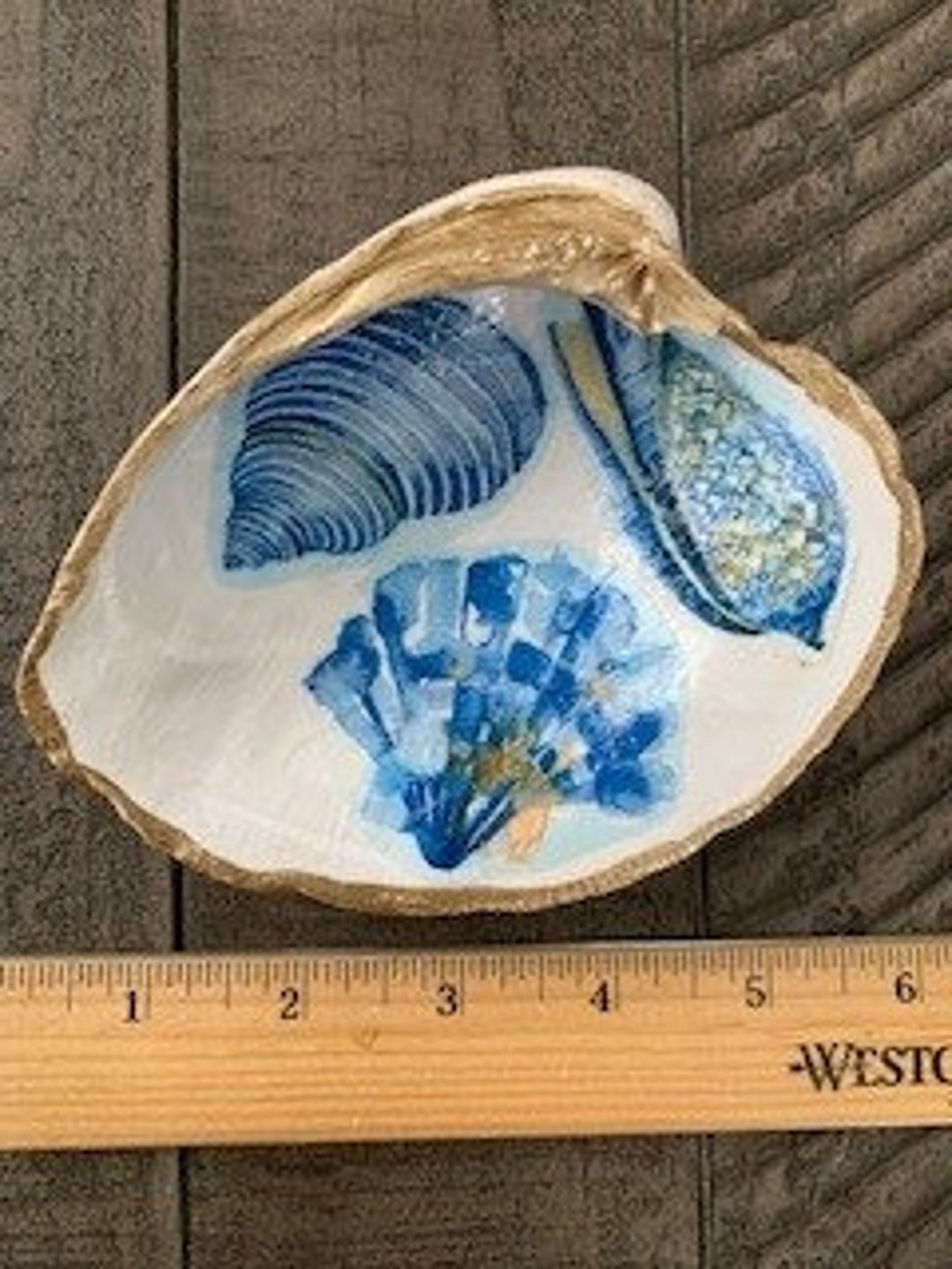 Sea Shell Painted - Etsy
